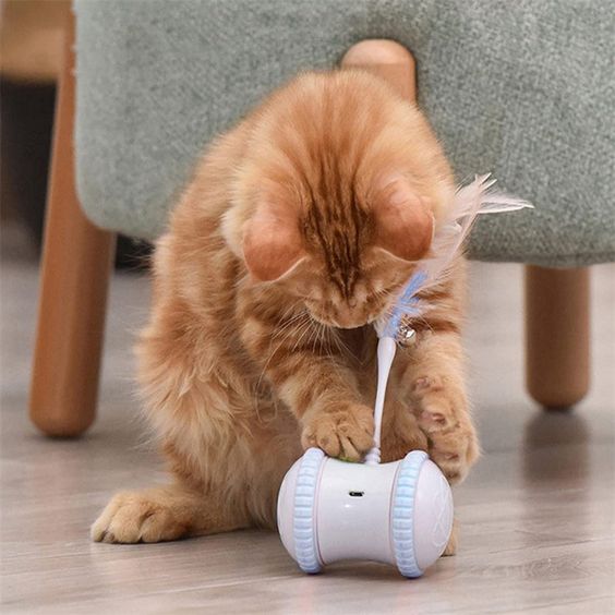 Cat Toys | Absolutely Precious Feline Boutique & Cattery