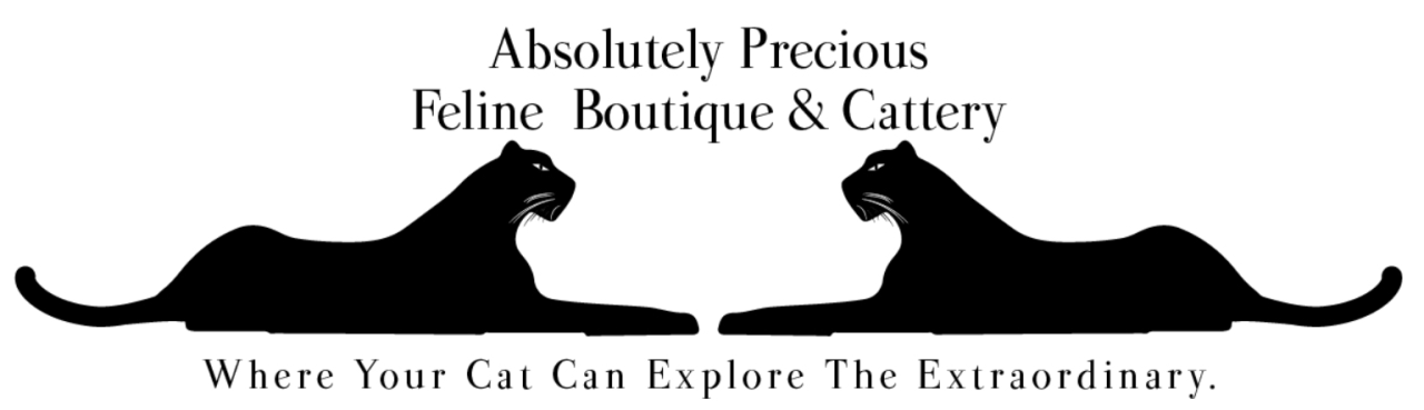 Absolutely Precious Feline Boutique & Cattery | Cattery in Washington, D.C.
