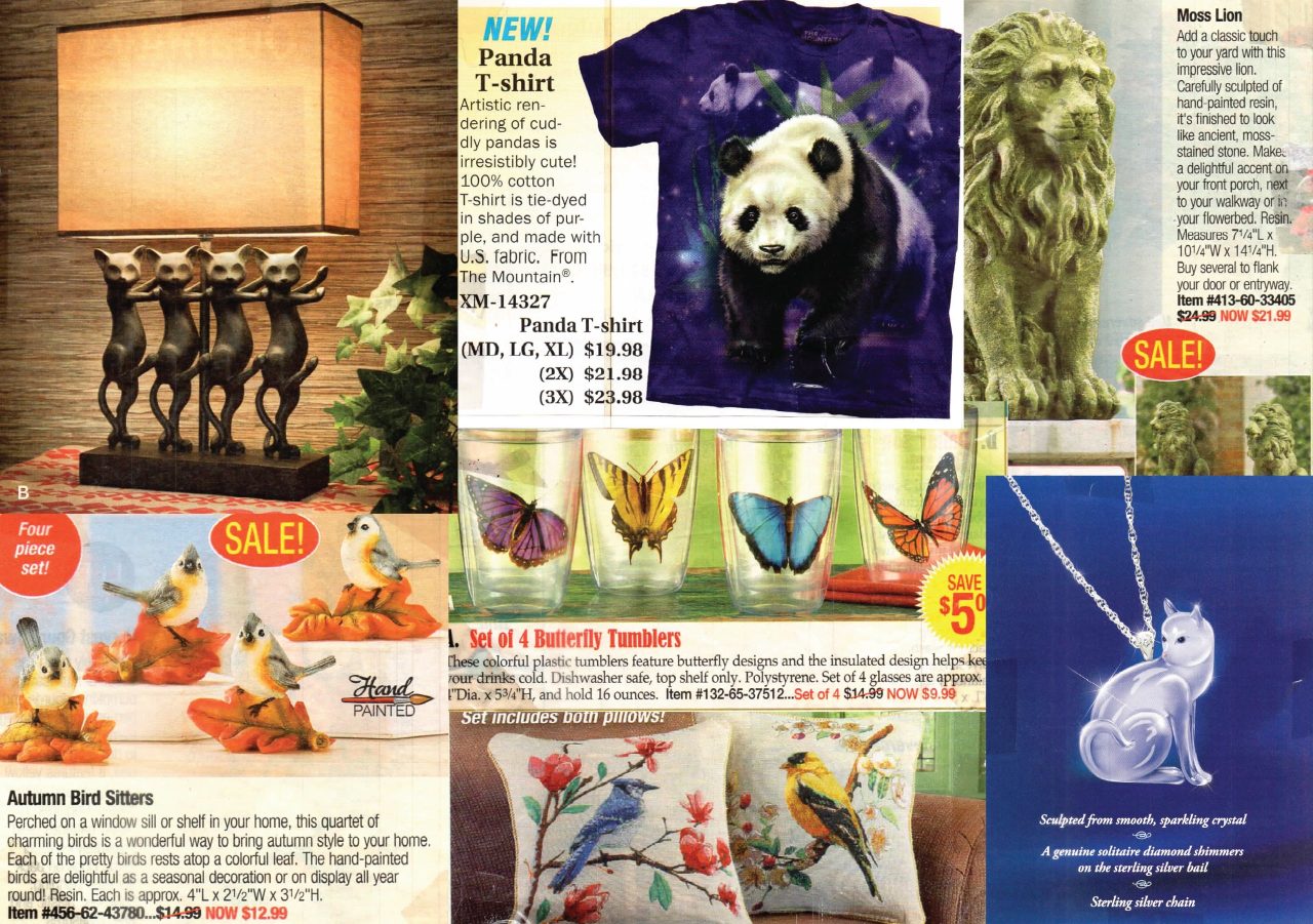 Absolutely Precious Feline Boutique & Cattery | Cattery in Washington, D.C.